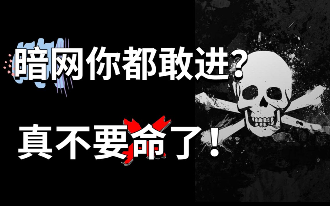 【为什么不让你去暗网!】提供网络安全|渗透测试|信息安全|攻防演练技术