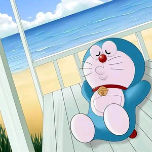 哆啦丸 