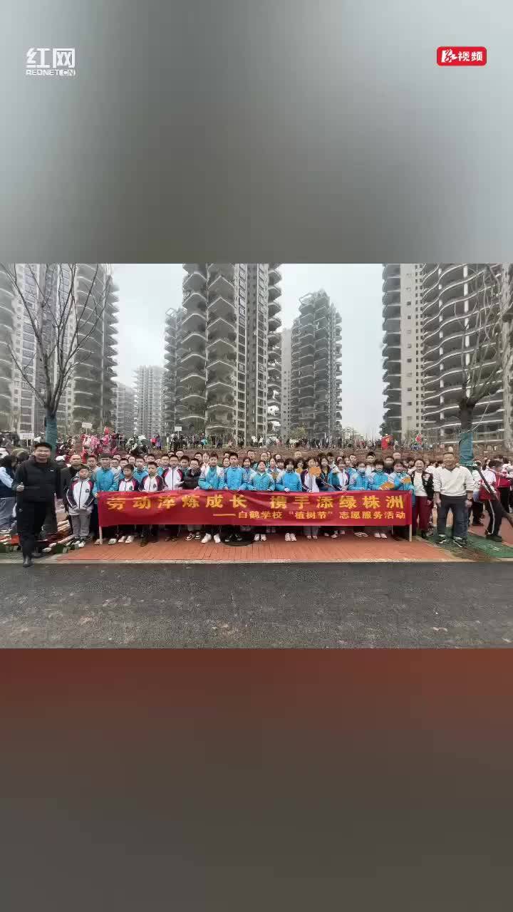 天元区白鹤学校开展志愿服务活动