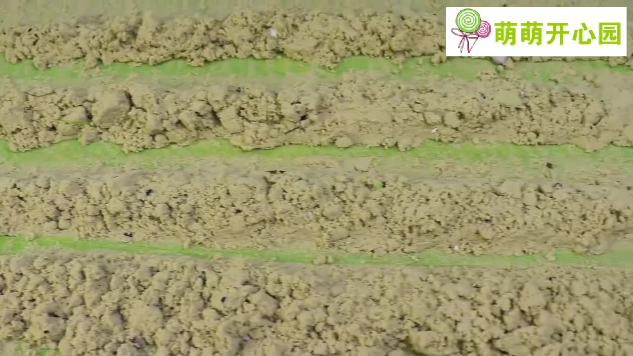 儿童益智故事:农作物从播种到收获的过程