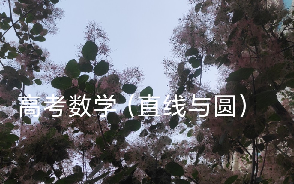 高考速成中职对口升学速成(解析几何之直线与圆)