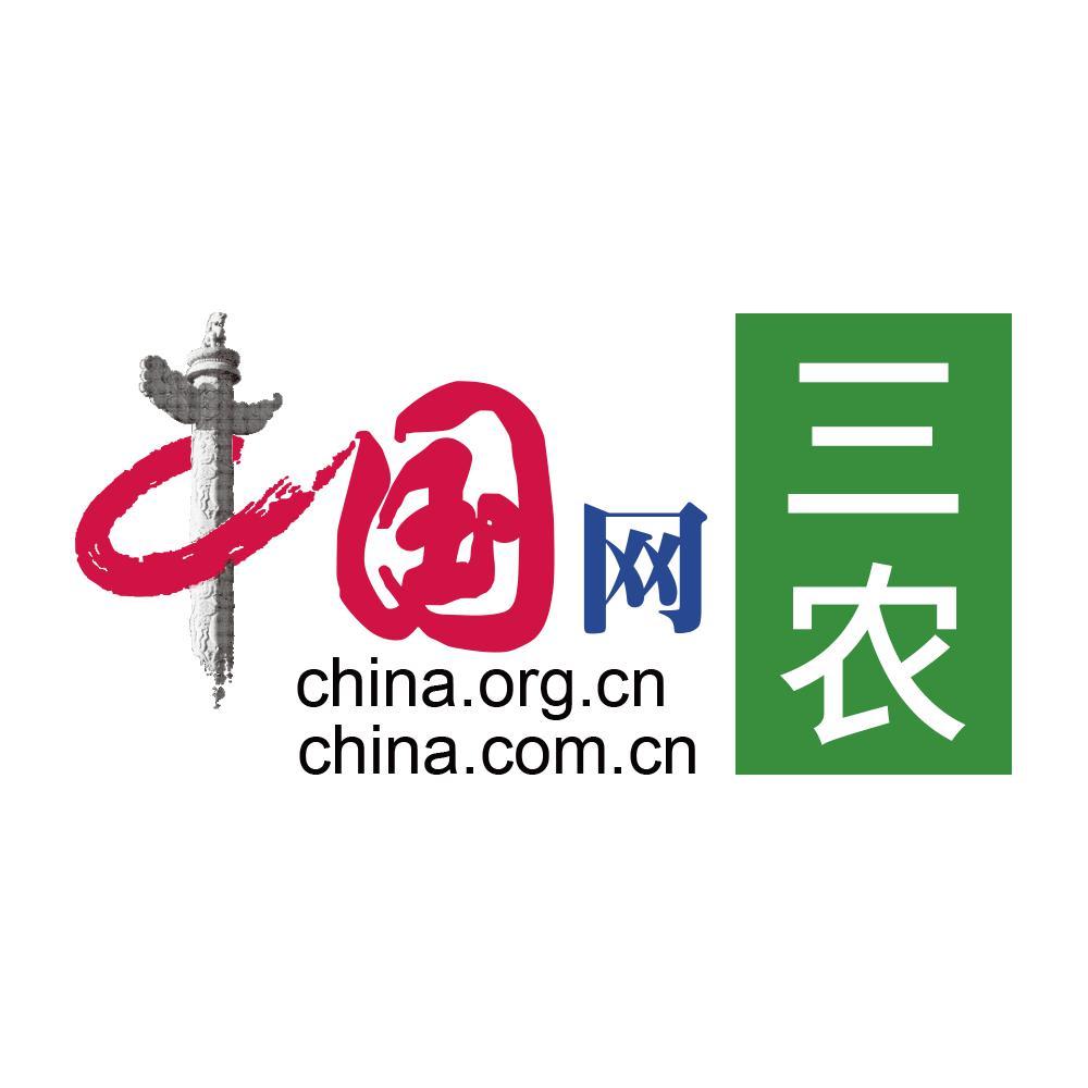 中国网三农 