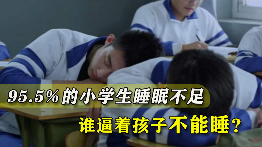中国学生睡眠状况亮红灯,95.5%的小学生睡眠不足,谁在逼孩子?