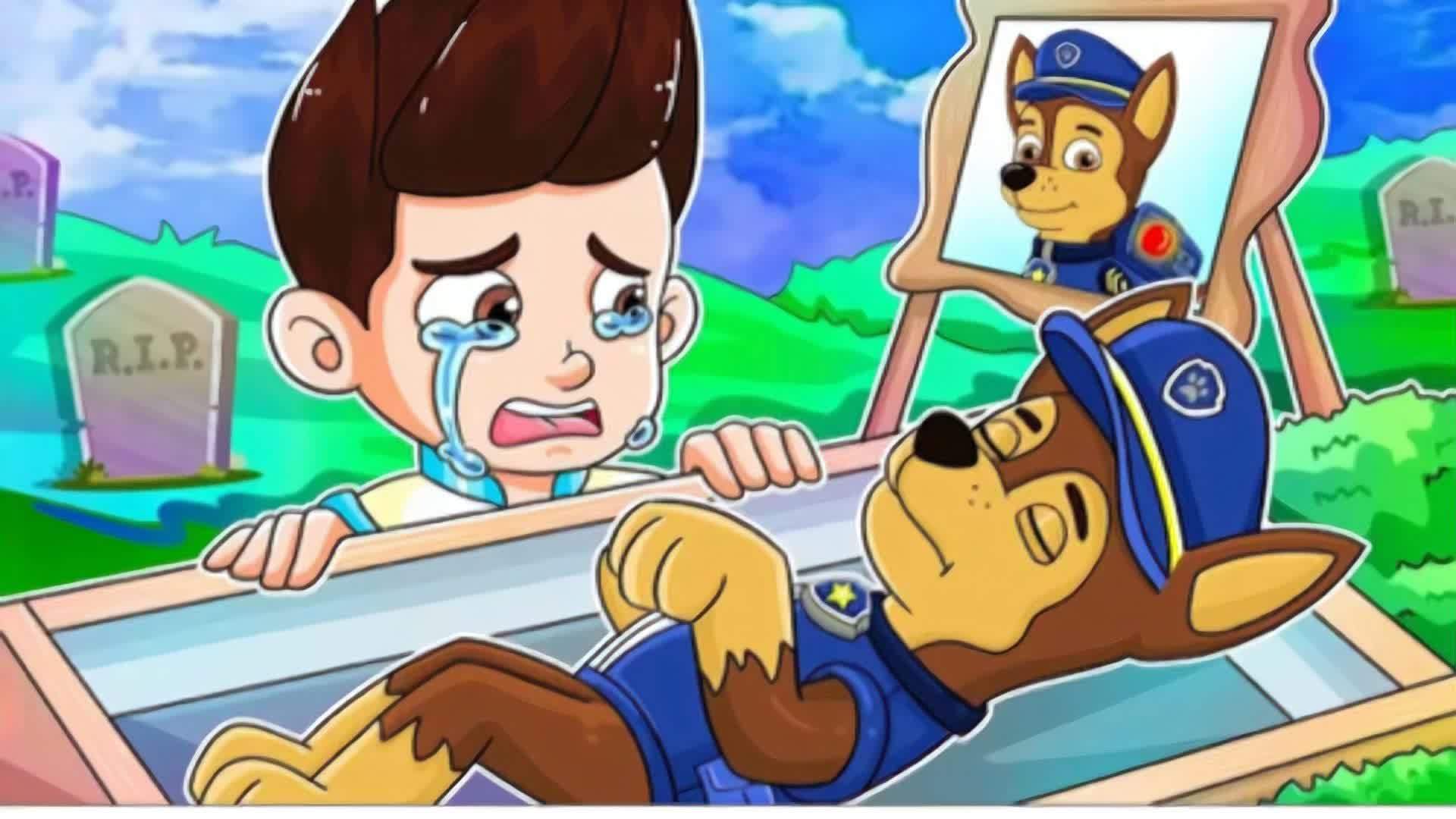 汪汪队动画:韩丁那的蜘蛛咬伤了莱德