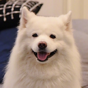 纸扇轻摇观天下 