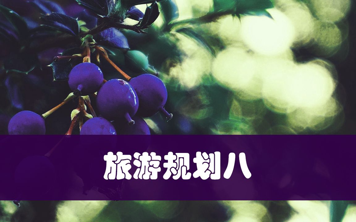 旅游规划八