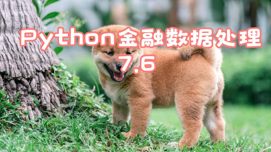 【Python金融数据处理】7.6