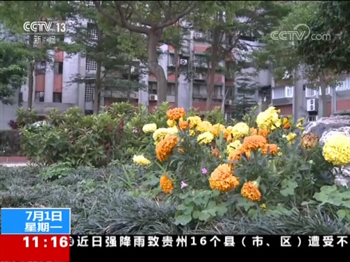 [新闻直播间]上海生活垃圾分类今起强制实施