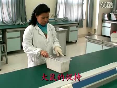 手术基础实验操作-大小鼠实验基本操作