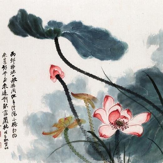 常常读文章 