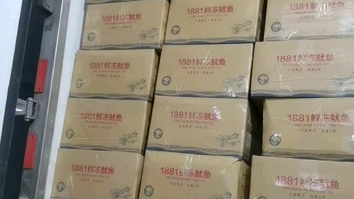 9月23日 晚船冻管(鱿鱼)第一车到