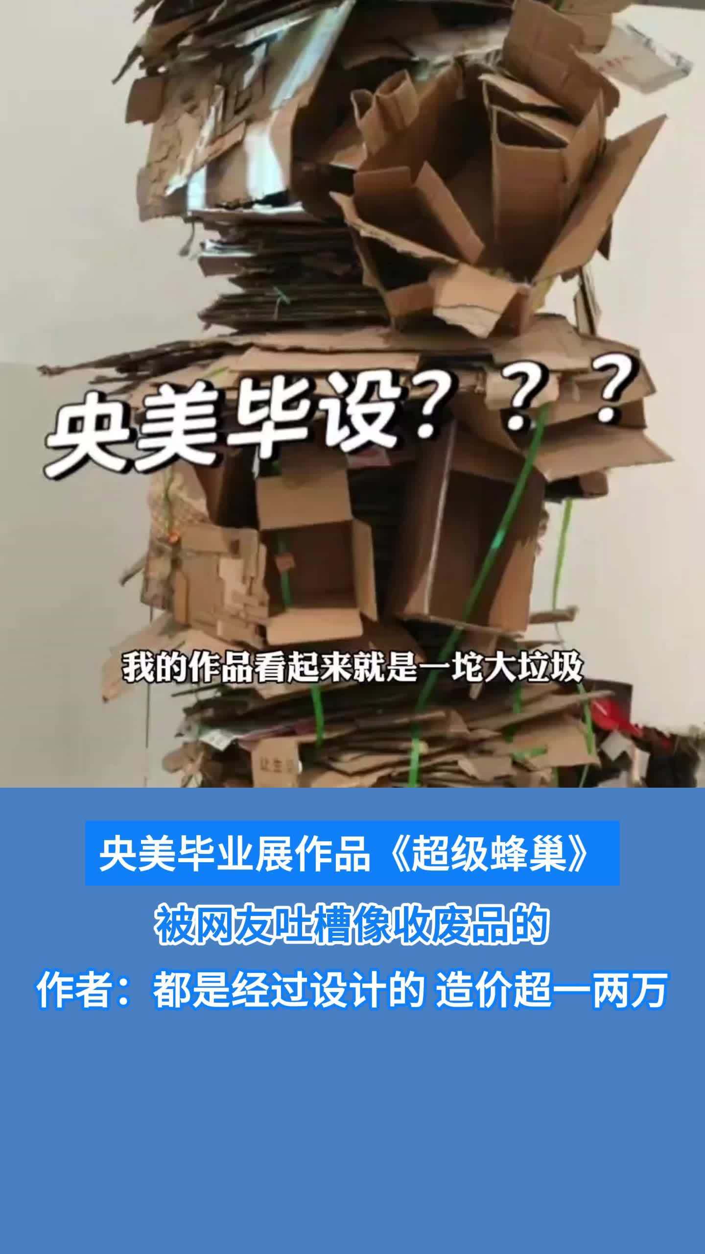 央美毕业展作品《超级蜂巢》,被网友吐槽像收废品的