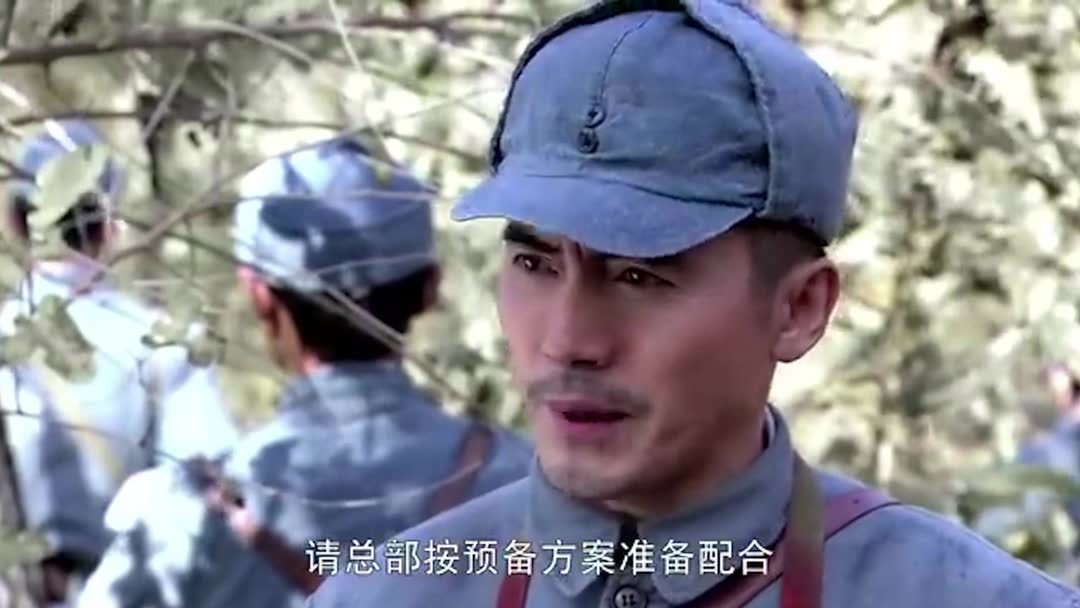 尖峰:行动计划凝似暴露,上级来电取消,林木坚持前往驻地!