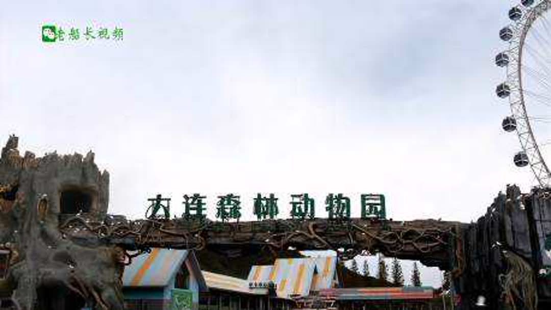 我带你到大连森林动物园去看大象表演