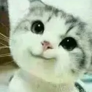 哈撒里来 