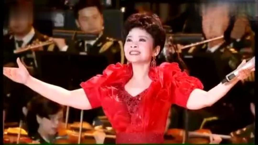 《今天是你的生日 中国》董文华演唱,歌声唯美,令人陶醉