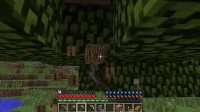 我的世界 曲奇 Minecraft@GTX模组生存 EP.8 松露大大好久没来坐沙发...