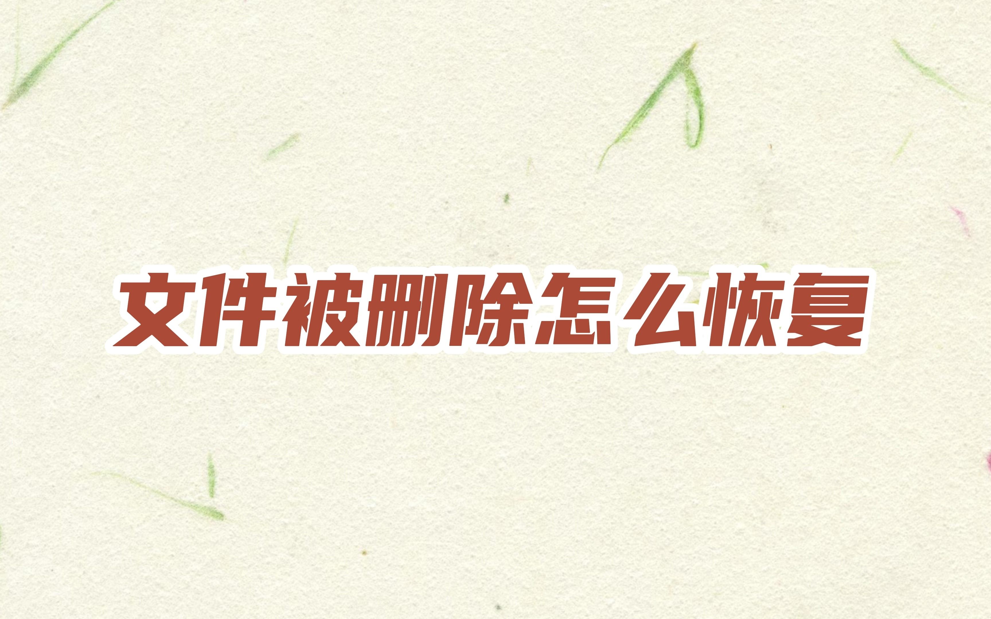 文件被删除怎么恢复——电脑文件恢复