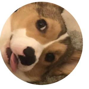 李蛋讲故事 