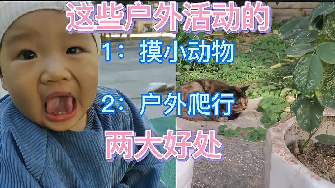 11个月宝宝户外活动的两大好处,原来这些有技巧的重要性!