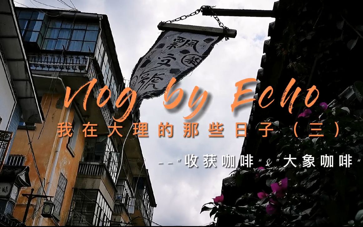 我的vlog生活/我在大理的那些日子(3)