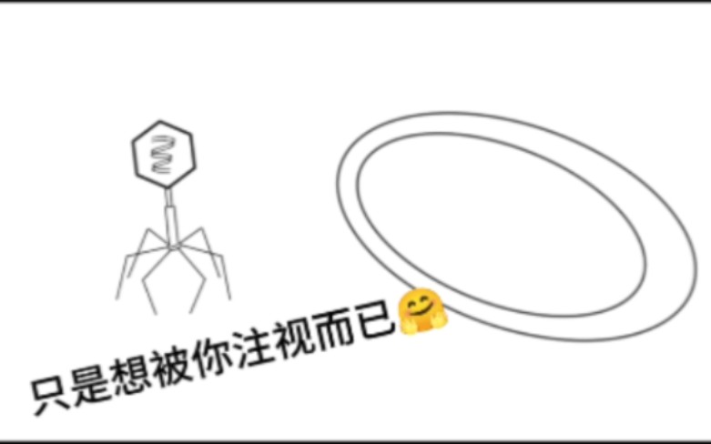 【大肠杆菌×噬菌体 】只是想被大肠杆菌注视而已❤️