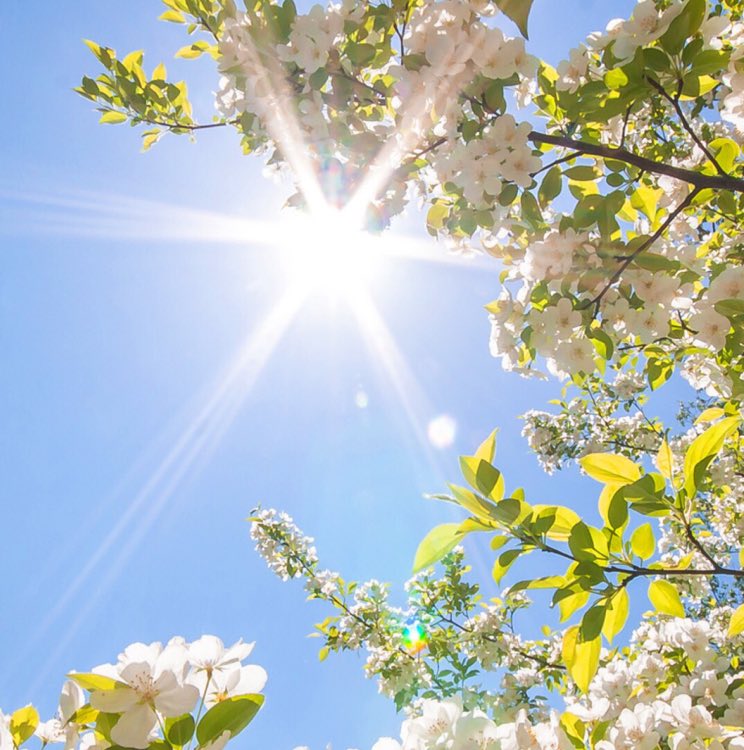 那一年那一天1125 