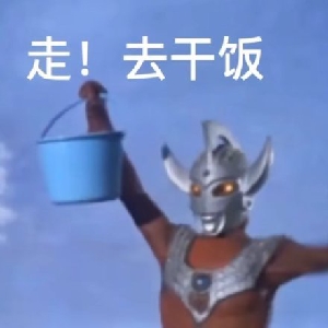 不要秃头的毛毛酱 