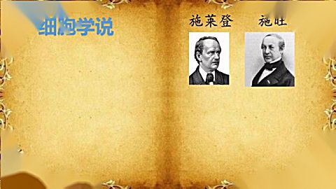 细胞的多样性和统一性_高清