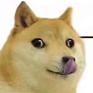 王北北找北 