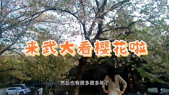 这个季节去武汉一定不能错过武汉大学里的最美樱花