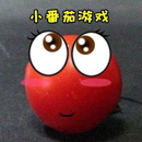 小番茄游戏哦 