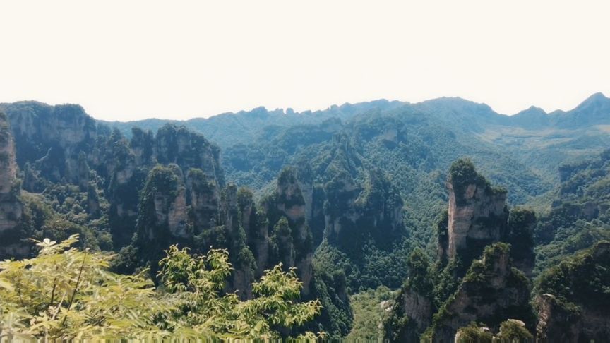 张家界国家森林公园自然风光,以峰称奇,以谷显幽,以林见秀