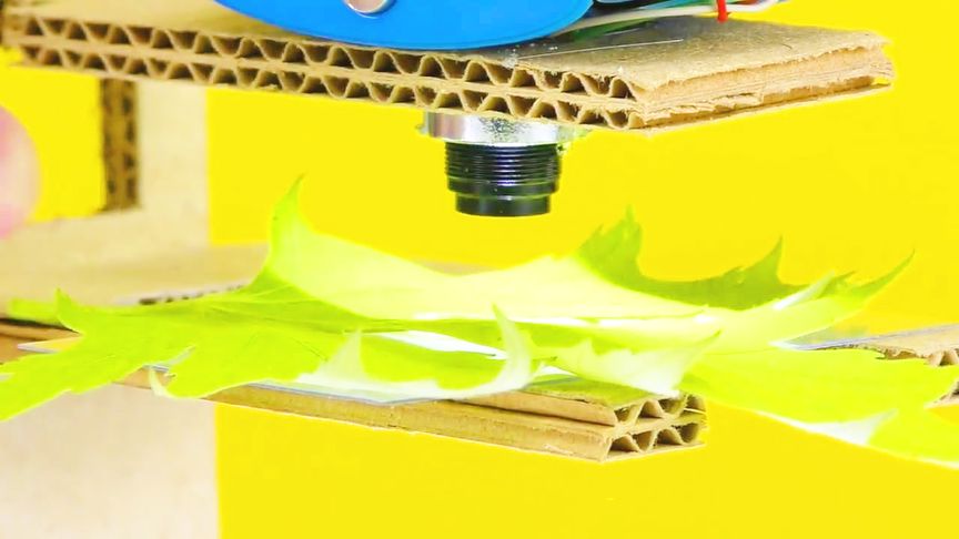 趣味DIY,教你如何制作迷你显微镜,简单好玩,还能长知识!