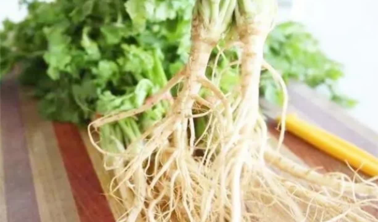 香菜根以后别再扔掉了,厉害作用花钱都难买,解决了家里的大麻烦