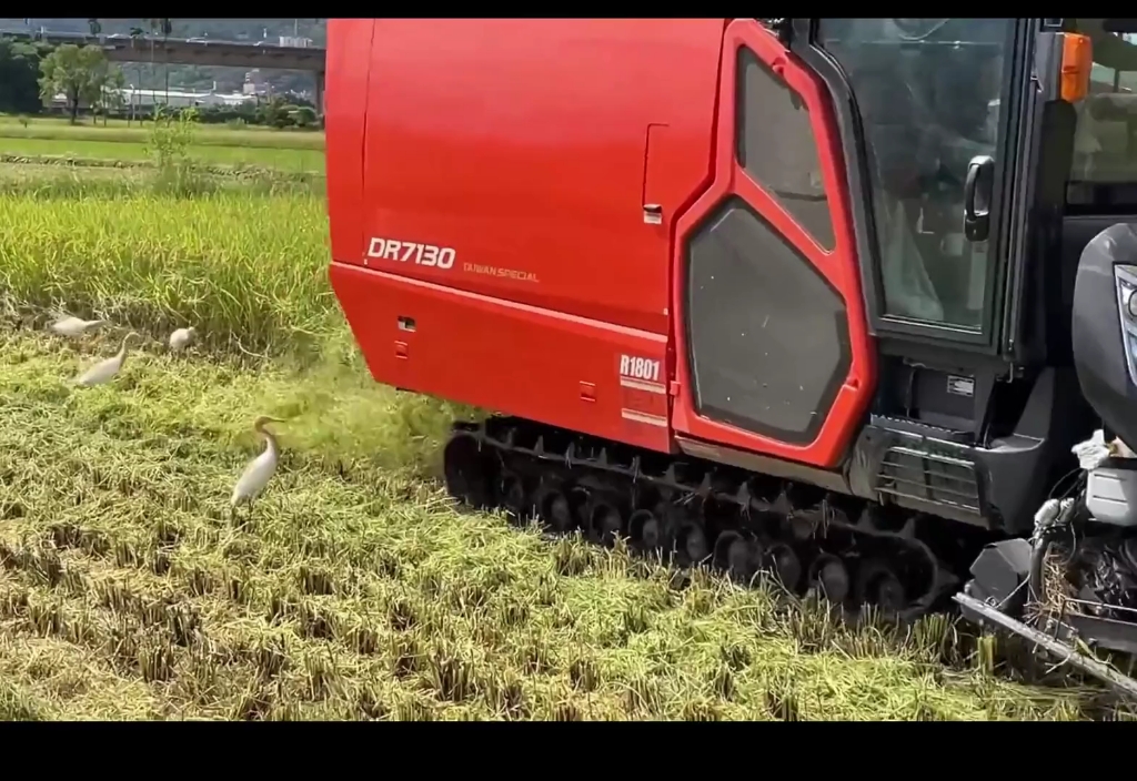 水稻是如何种植的?从种植到收获 ,归功于现代农业的自动化