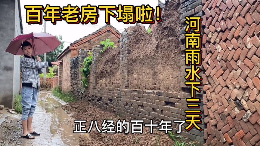 河南农村雨水连下三天,百年老房下塌了、玉米地也淹啦!有点心凉