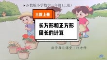 小学数学三年级上册苏教版,长方形正方形周长的计算