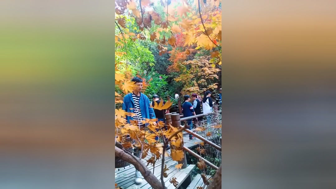 100w,他送了我戒指,戒指不贵,但缠了红线,他说等他发达了,可以找他换...