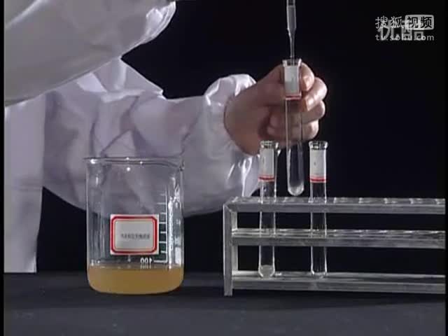 高中生物实验视频 01影响酶活性的因素