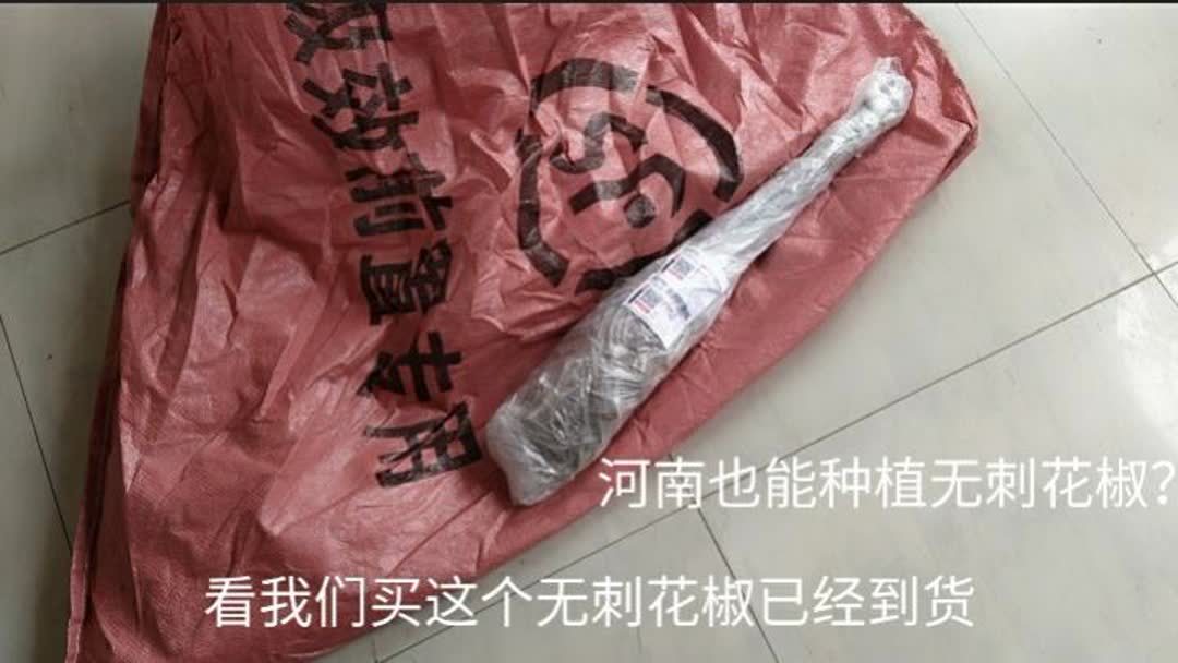 小伙网购无刺花椒10元一颗,顺丰到付23,开箱难不成买到假货了?