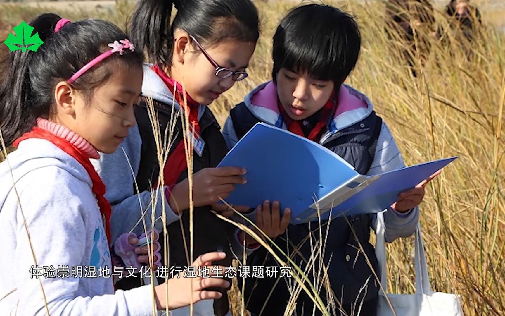 上海教育电视台《申学记》家门口的好校园:上海市崇明区裕安中学