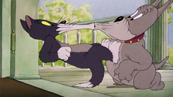 猫和老鼠:汤姆和杰瑞的日常打斗,大狗斯派克也加入了混战