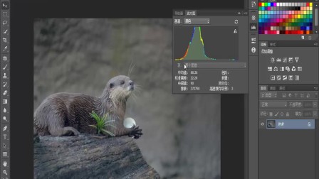 抠图软件 ps磨皮美白教程 photoshop 视频教程