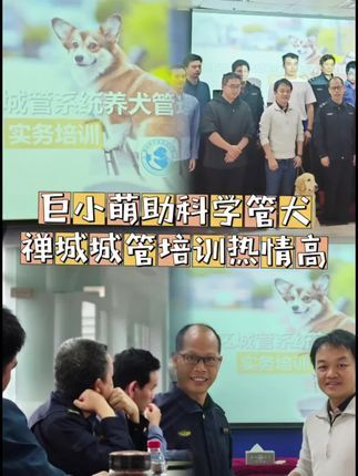 巨小萌助力科学管犬,这场禅城城管养犬实务培训,大家学习记录得可...
