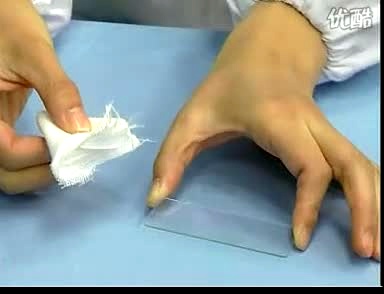 《观察人的口腔上皮细胞》