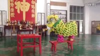 中国南海黄飞鸿中联电缆龙狮团