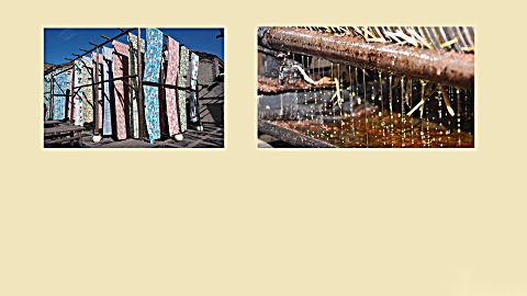 良渚七贤小学语文教研共同体微课制作大赛一等奖《小马过河》