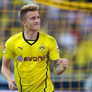 多特蒙德大家庭 