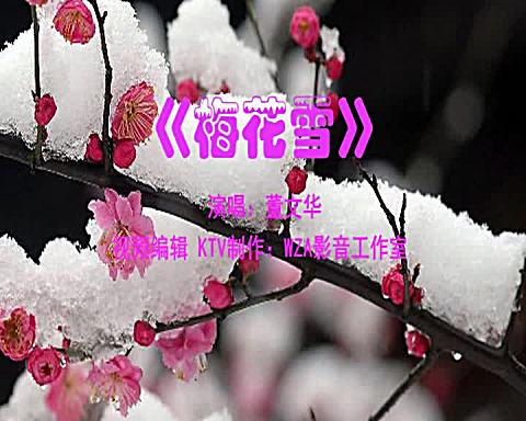 《梅花雪》KTV 演唱:董文华